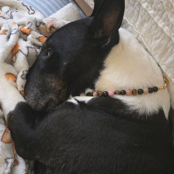 Custom Dog Collar, Crystal Cat Collar, Crescent Moon, Reiki Jewelry ...