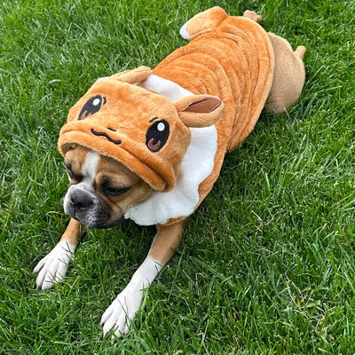 Eevee Dog Costume Pokemon Outfit for Pets Anime Dog Apparel Dog Hoodie ...
