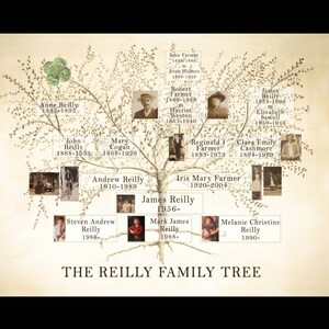 Framed Family Tree Genealogy Chart Ancestor Descendant Gift | Etsy