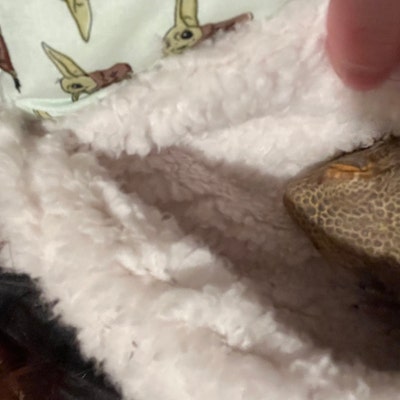 Bearded Dragon/lizard Reclining Chair, Hammocks, Sugar Glider Pouches ...