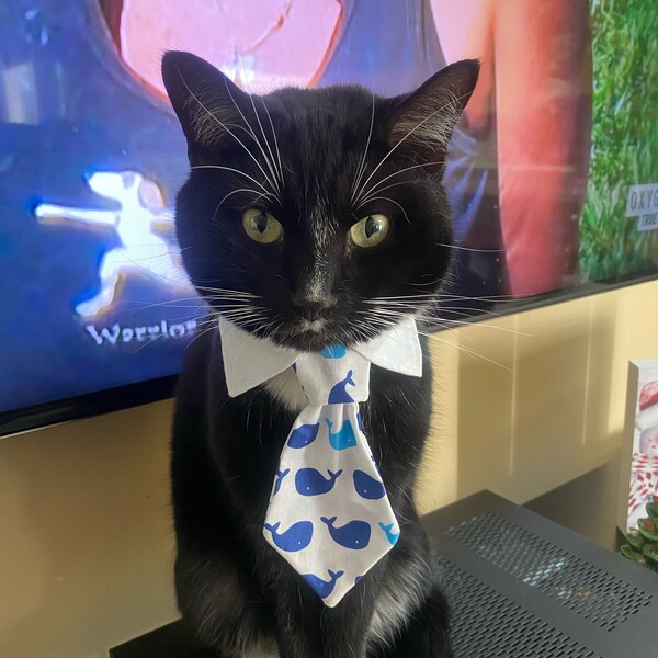 Cat Bow Tie The One Where Tv Show Tie Friendsgiving Etsy 9938
