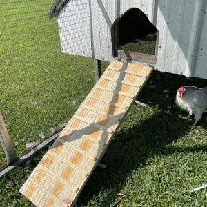 INDOOR Guinea Pig Ramp Rabbit Ramp Hedgehog Ramp With Sides - Etsy