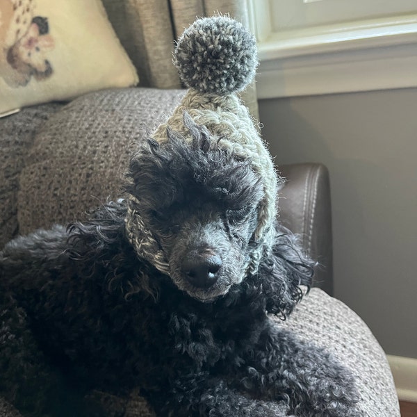 Chartreuse Knit Wool Hat for Small Dog Puppy Hood Chihuahua Clothes ...