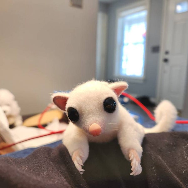 Made to Order! Marmoset Monkey Realistic Stuffed Toy - Etsy