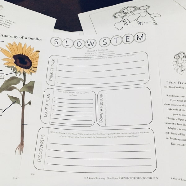 Spring With Peter Rabbit Learning Collection - Etsy