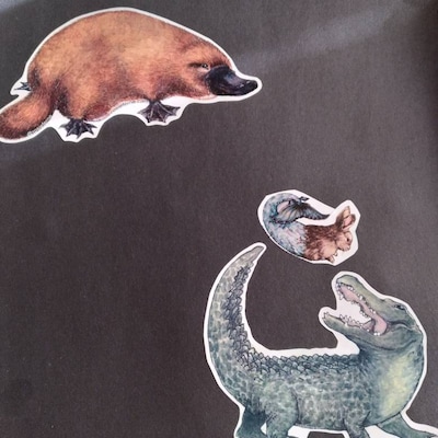 Octopus Art Print Original Pacific Giant Octopus Pacific Northwest ...