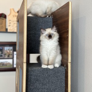Kitty Steps Wall Mounted Cat Terrain - Etsy
