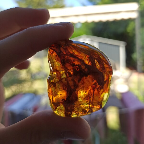 5 Gram Natural and Genuine Baltic Sea Amber Specimen Healing Amber ...