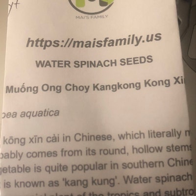 Green Stem Shanghai Bok Choy Seeds Pak Choi Cabbage BIG SALE - Etsy