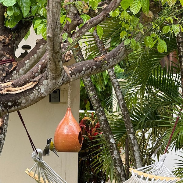 Watering Bell, Self Watering Pot, Self Watering Can, Gardening, Plant ...