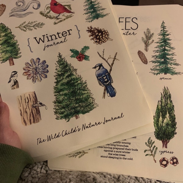 Winter Night Sky Mini Nature Pack - Homeschool Printable Charlotte ...