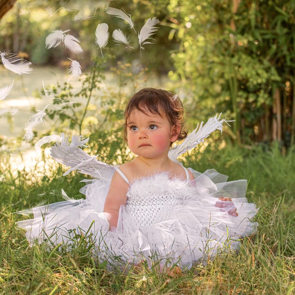 Flying Tulle Fabric Brushes for Photo Editing, Realistic Tulle Veil ...