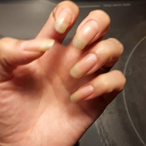 Nial Art Brushes Filbert Shape - Etsy