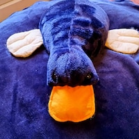 PDF - Fluffy Duck Sewing Pattern - Instant Download - Etsy Canada