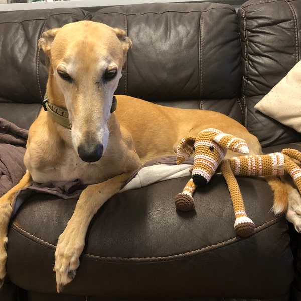 Greyhound Teddy - Crocheted Stuffed Toy Doll / Greyhound Lovers / Baby ...