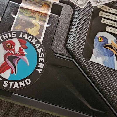 Yelling Set of 8 Thank You Cards Bird Thanks Stationery - Etsy