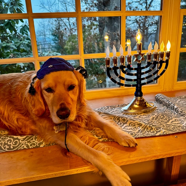 Handmade Hanukkah Pet Hat With Star – Dog Kippah Yarmulke - Etsy