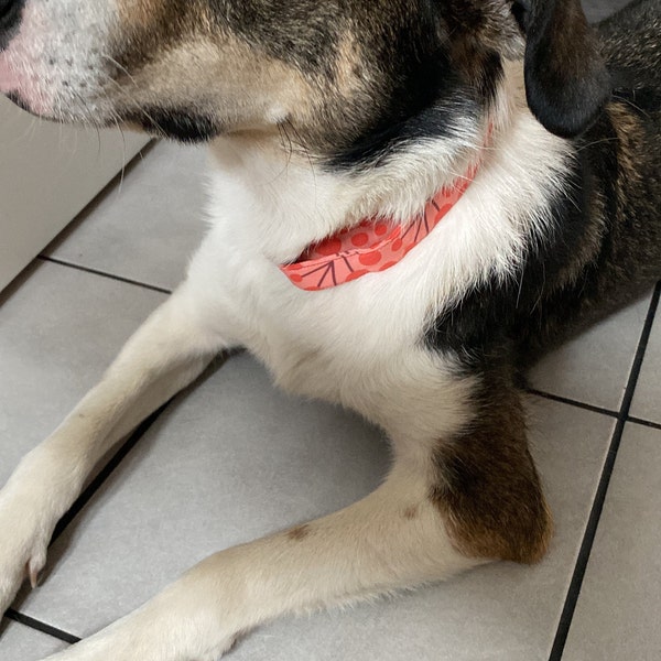 Pink Dog Leash, Herringbone Dog Leash, Girl Dog Leash, 6 Ft Pet Leash ...