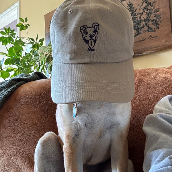 Custom EMBROIDERED Pet Hat Using Pet Photo Personalized Dog Hat Custom ...