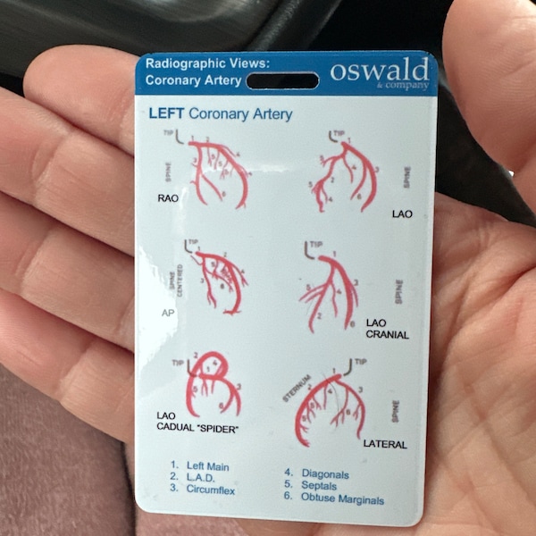 FAST-ED Stroke Badge Buddy, Paramedic, Nurse, Doctor, EMS, Scoring Tool ...