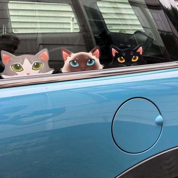 Cat-window-peeker Cat Peeking Sticker |cat Face and Paws| Siamese ...