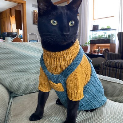 Yellow Cat Hat Hand Knit Sphynx Cat Accessories Pet Winter - Etsy