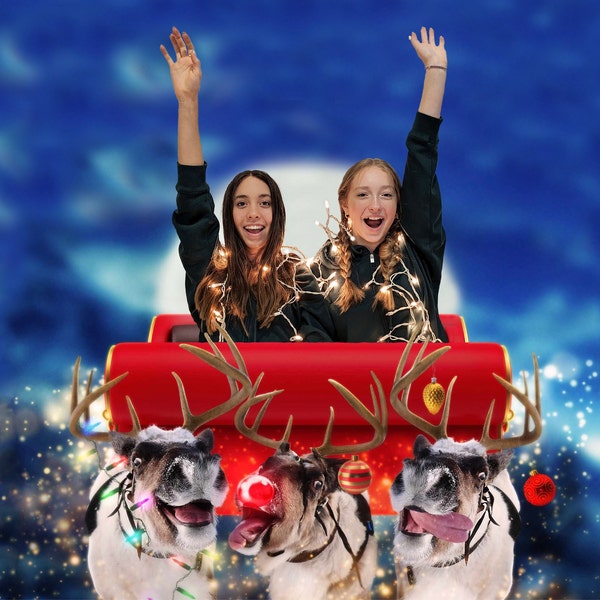 2 PACK Excited Reindeer Sleigh Background for Photographers / Christmas ...