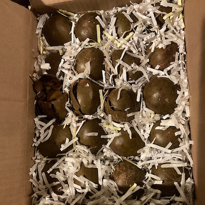 Dried Flounder Fish Powder 大地魚粉 12 Oz - Etsy