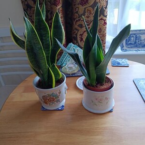 Vintage Fish Cutlery Fish Knives and Forks Chrome Plated English Set of ...