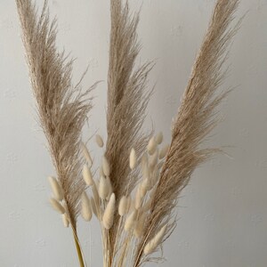 Bleached White Bunny Tails - Etsy UK