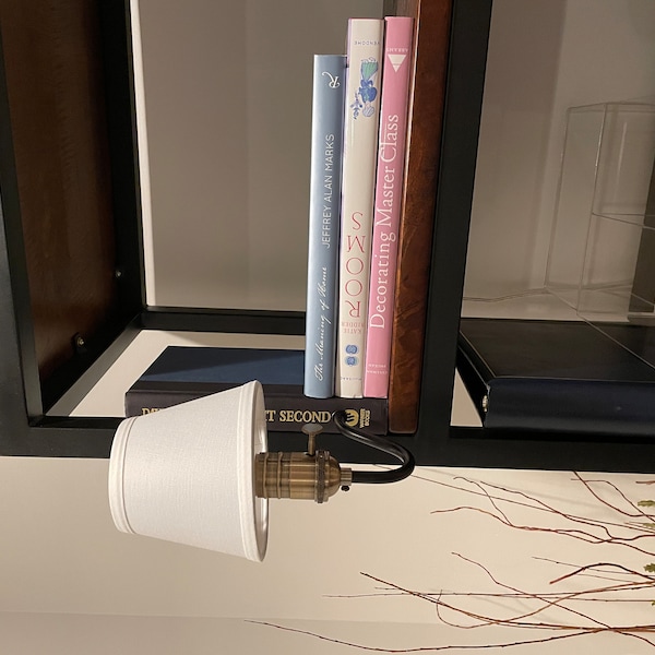 Bookshelf Lamp. Louise Penny Bookcase Light. Bookcase Decor. Library ...