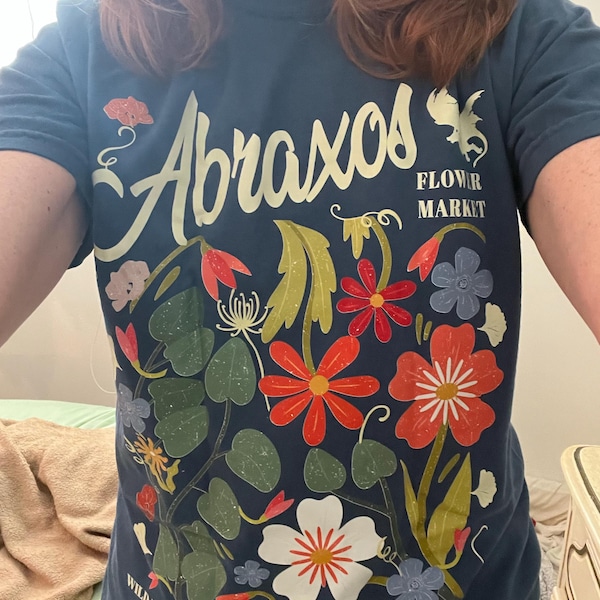 ACOTAR, Valkyrie Merch, Nesta and Cassian, Sarah J Maas Velaris, A ...