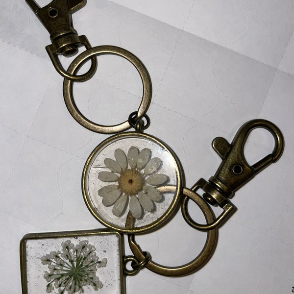 Pressed FIVE Leaf Clover Pack (not Perfect Clovers), Real Clovers for ...