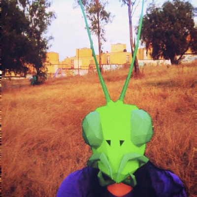 Praying Mantis Mask Paper Pattern Insect Mask Halloween Mask DIY Mask ...