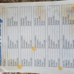 Flock Tracker - Chicken Log - Flock Log - Chicken Inventory List ...