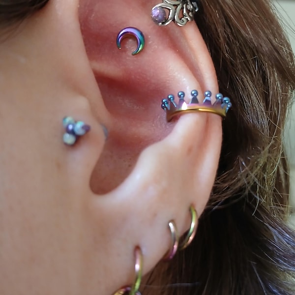 ASTM F136 Titanium Crown Conch Clicker Hoop, 8mm, 10mm, Gold Conch ...