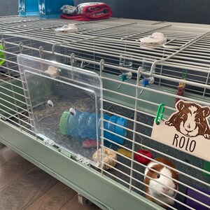Guinea Pig Cage Tag, Personalized, Custom, Engraved Wood, Pet Guinea ...