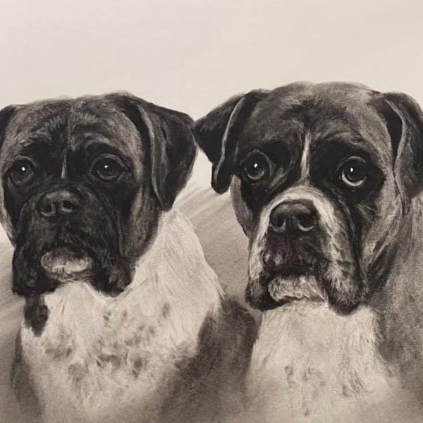 Pet Portrait Custom Charcoal | Pet Loss Gift | Dog Portrait Charcoal ...