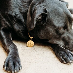 Rose Gold Dog Tag, Personalized Dog Name Tag, Cute Simple Dog Name Tag ...