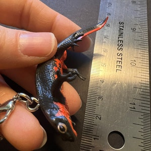 Napoleon Fish Rooibos Tea Bag Ocean Teabag - Etsy