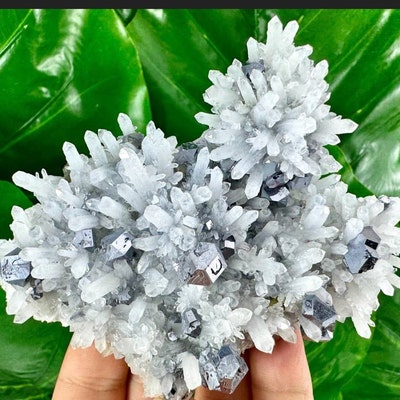 Set of 24 Different International Crystals,minerals,flat Minerals,flat ...