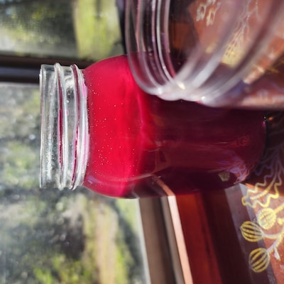 Cochineal Bugs WHOLE Dried Bugs Natural Dyes 1 Ounce Package - Etsy