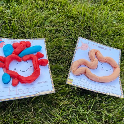 Human Organs Play Dough Mats Fine Motor Skills Preschool Printables ...