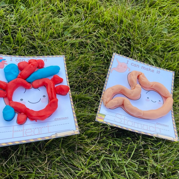 Human Organs Play Dough Mats Fine Motor Skills Preschool Printables ...