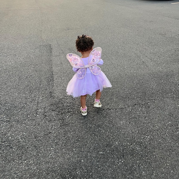 Adult Extra Large Floral Embroidery Fairy Wings Hand Crafted High ...