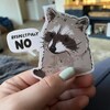 Raccoon Respectfully No | Funny Acrylic Pin | Kawaii Cute Raccoon Pin ...
