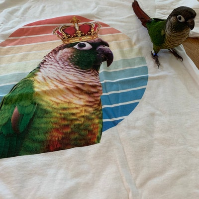 Indian Ringneck Parrot Passport Cover, Pet Indian Ringneck Passbook ...