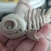 Flexi Print-in-place Fish - STL File for 3D Printing Active - Etsy