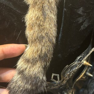 Antelope Foot Hoof Bone Phalanges Aka Coffin Toe Bones Necklaces - Etsy