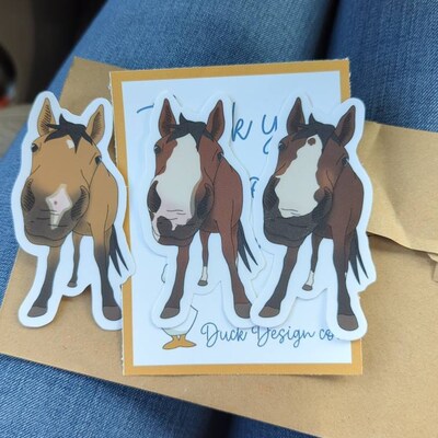 Customizable Animation Horse Sticker Personal Decal Cartoon Horse Gift ...